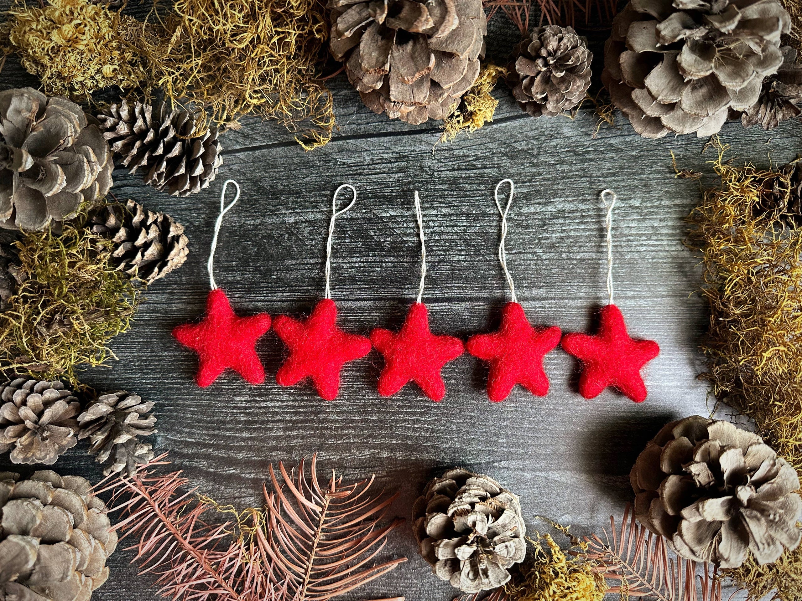 Felted Wool Star Ornament | Pisarcik Flower Farm